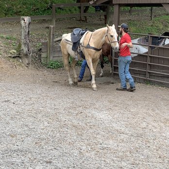 SMOKEMONT RIDING STABLES - Updated July 2025 - 34 Photos & 33 Reviews ...