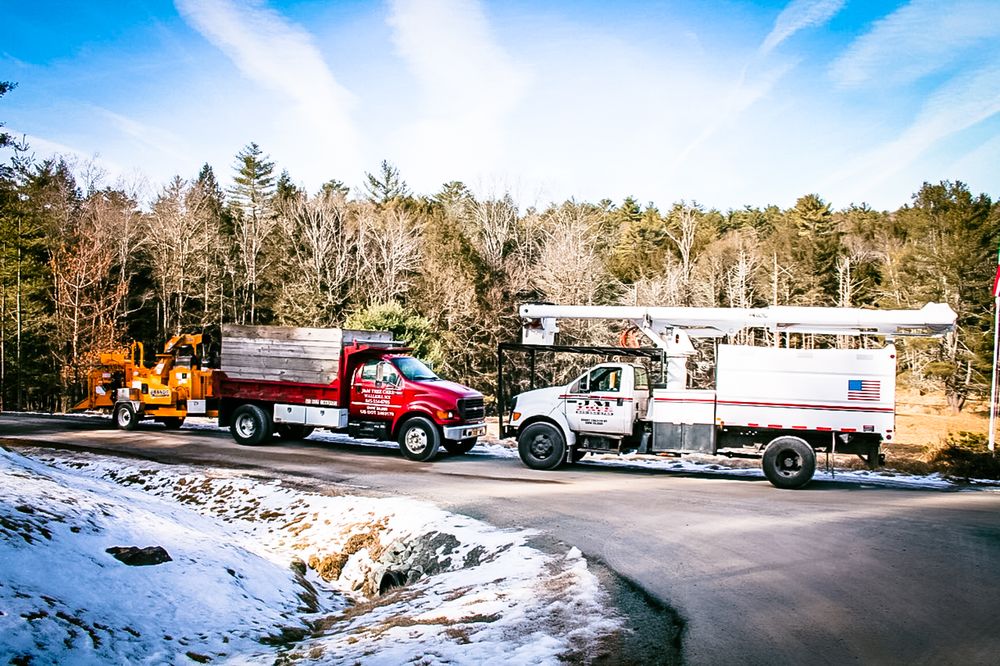 J&M TREE CARE - Updated June 2025 - Narrowsburg, New York - Tree ...