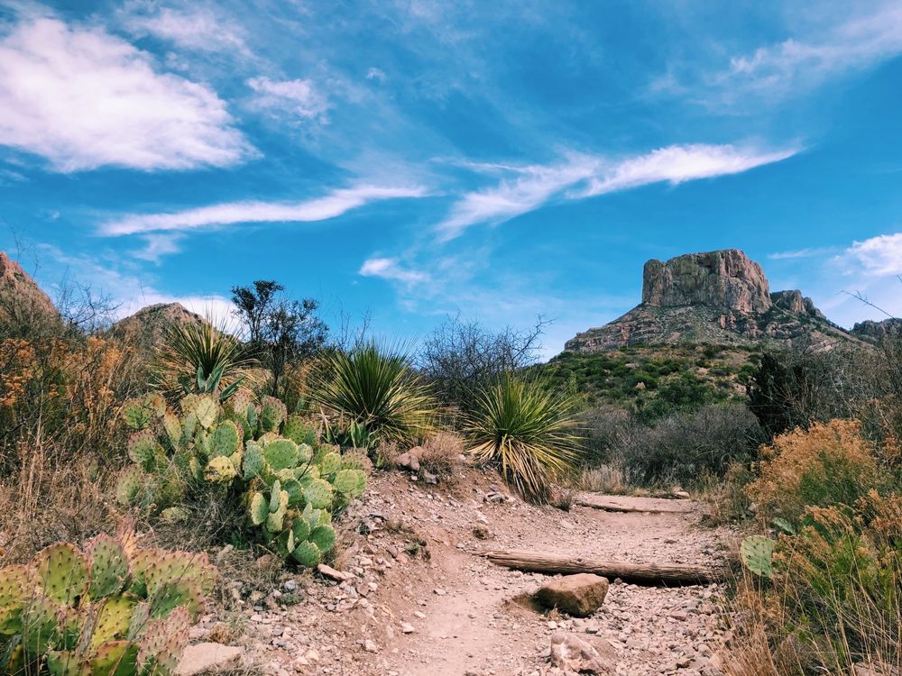 CHISOS BASIN VISITOR CENTER - 35 Photos - 142 Chisos Basin Rd, Big Bend ...