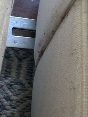 ACTIVE PEST CONTROL - Updated December 2025 - 21 Photos & 57 Reviews ...