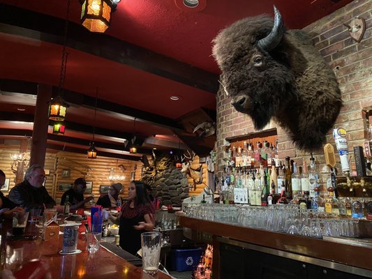 CLUB MALLARD - 148 Photos & 459 Reviews - 752 San Pablo Ave, Albany ...