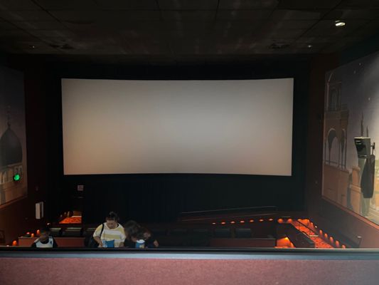 CINEMARK PALACE 20 AND XD - 326 Photos & 310 Reviews - 3200 Airport Rd ...