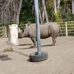 BLANK PARK ZOO - 260 Photos & 75 Reviews - 7401 SW 9th St, Des Moines ...