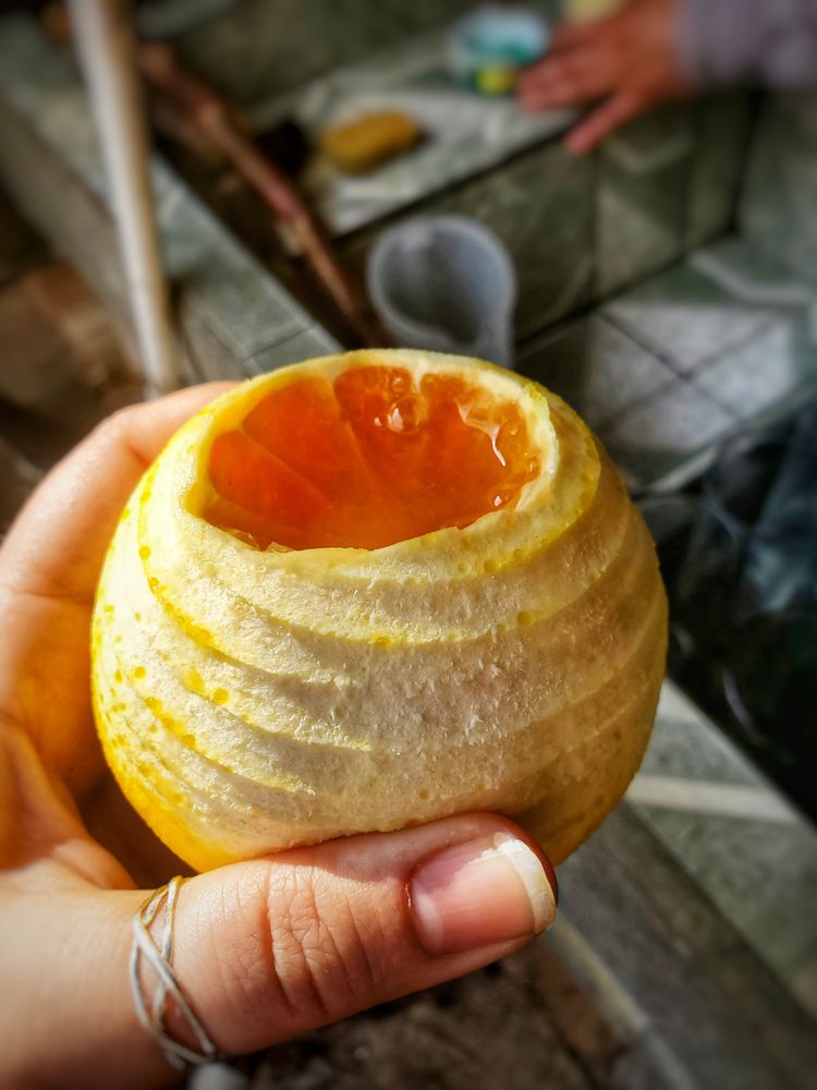 ECOTRAVEL ADVENTURES - 13 Photos - Boynton Beach, Florida - Tours - Phone Number - Yelp