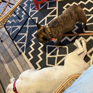 HELLO EM VIET COFFEE & ROASTERY - 1147 Photos & 351 Reviews - 1227 S ...