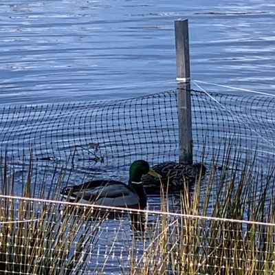 BEN BRENMAN PARK - Updated May 2025 - 127 Photos & 48 Reviews - 4800 ...