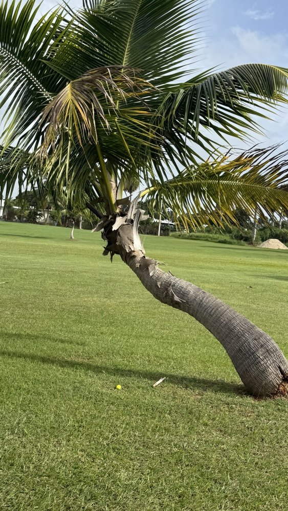 PUNTA BORINQUEN GOLF CLUB - Updated December 2025 - 24 Photos - Calle ...