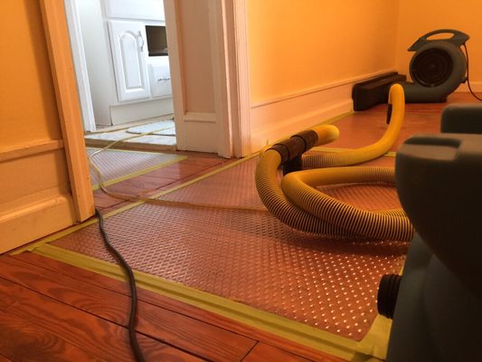 DRY-TECH FIRE & WATER DAMAGE RESTORATION SERVICES - 174 Photos - 80 ...