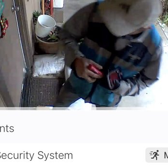 GOFO EXPRESS - Updated December 2025 - 31 Photos & 194 Reviews ...