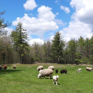 DERRY IMAGING CENTER - Updated December 2025 - 10 Photos & 36 Reviews ...