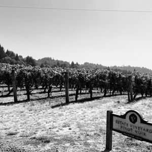 CHEHALEM WINERY - Updated August 2024 - 29 Photos - 31190 NE Veritas Ln ...