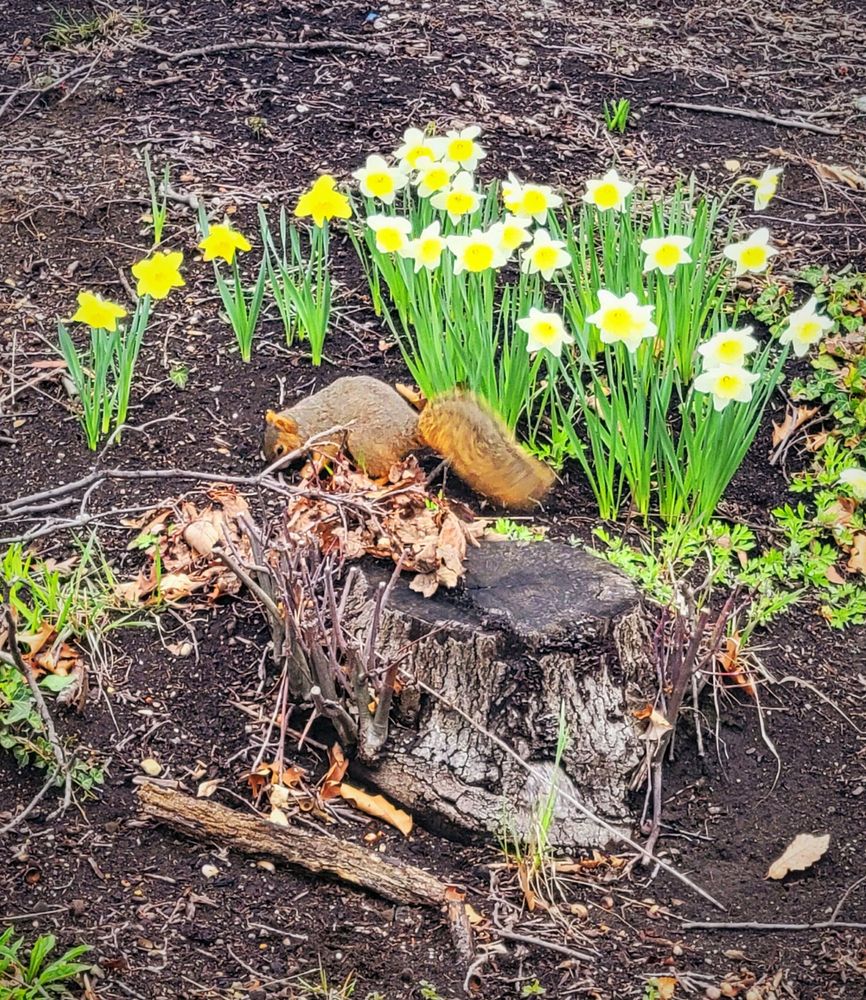 WADE PARK LAGOON - Updated July 2025 - 69 Photos & 19 Reviews - Martin ...