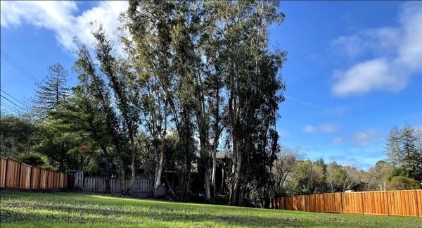 NEW LIFE TREE SERVICE - Updated January 2025 - 94 Photos & 117 Reviews ...