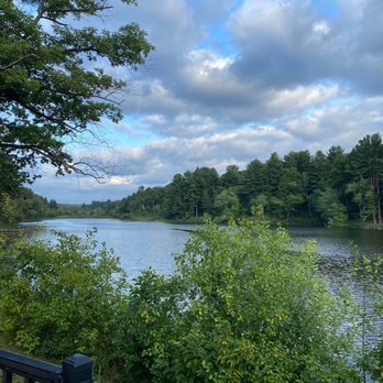 FOREST PARK - Updated October 2025 - 118 Photos & 16 Reviews - 299 ...