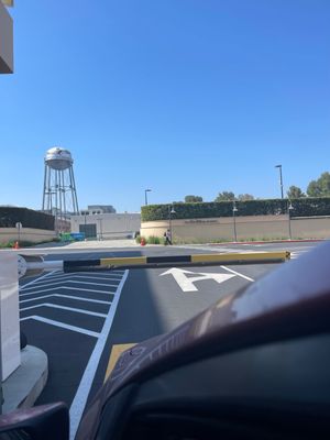 WALT DISNEY ANIMATION STUDIOS - Updated October 2025 - 297 Photos & 57 ...