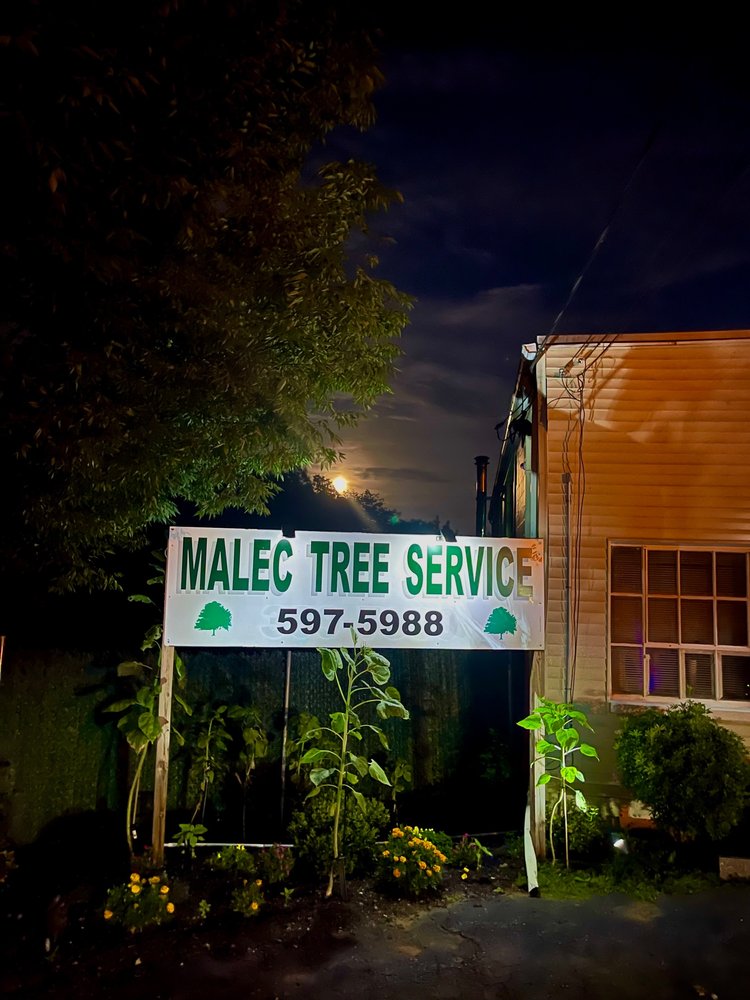 MALEC TREE SERVICE - Updated August 2025 - 29 Photos - 101 Nasonville ...
