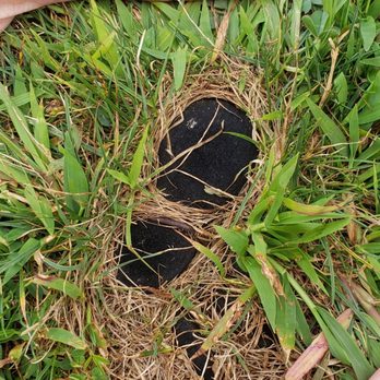 RESURRECTION CEMETERY - Updated January 2026 - 16 Reviews - 5201 ...