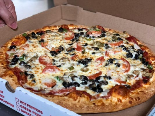 VILLA ROMA PIZZA - 59 Photos & 119 Reviews - Pizza - 2132 Holly Hall St ...