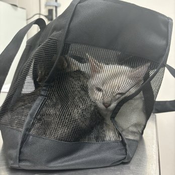 BEACH GARFIELD VETERINARY HOSPITAL - Updated July 2025 - 156 Photos ...