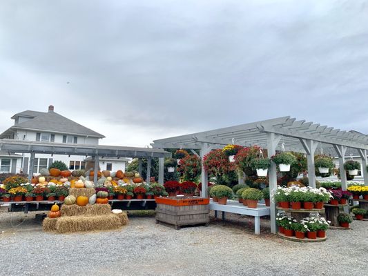 ANDREWS FAMILY FARM & GREENHOUSES | 17 Photos | 1038 Sound Ave, Wading ...