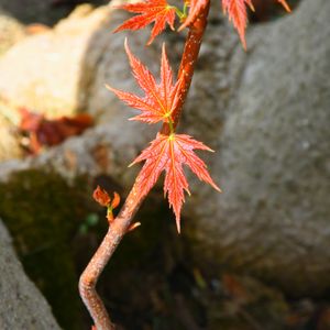 SPINDLER FIELDS - Updated October 2025 - 2121 Spindler Rd, Hilliard ...