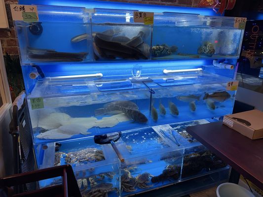 UNCLE FOON’S KITCHEN - Updated January 2026 - 113 Photos & 15 Reviews ...