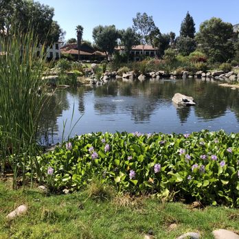 WEBB PARK - Updated March 2025 - 144 Photos & 41 Reviews - Avena Pl And ...