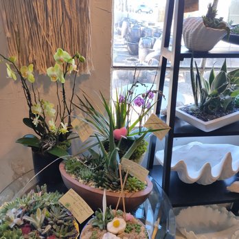 CALVERT’S PLANT INTERIORS - Updated October 2025 - 77 Photos & 23 ...