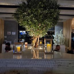 THE GREEK JOINT KITCHEN & BAR - Updated April 2025 - 379 Photos & 188 ...