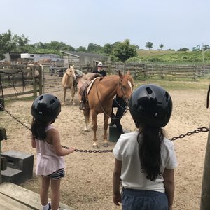 DEEP HOLLOW RANCH BEACH & TRAIL RIDES - 73 Photos & 41 Reviews ...