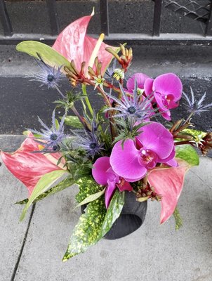 AMADEUS FLOWERS - Updated December 2024 - 37 Photos & 38 Reviews - 1 ...