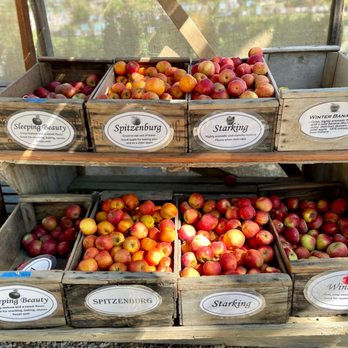 ALDEN LANE NURSERY - Updated July 2024 - 349 Photos & 209 Reviews - 981 ...