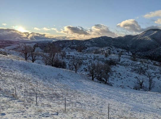 THE WILDLANDS CONSERVANCY’S WIND WOLVES PRESERVE - Updated March 2025 ...