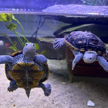 BIOMES - Updated December 2025 - 166 Photos & 89 Reviews - 6640 Post Rd ...