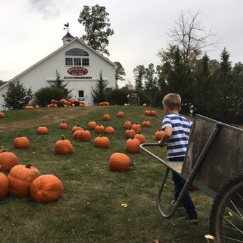 DEVON POINT FARM - Updated January 2026 - 38 Photos & 11 Reviews - 54 ...