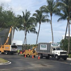 WOLFER LANDSCAPE SERVICES - 36 Photos - 5371 SW 58th Ave, Davie ...