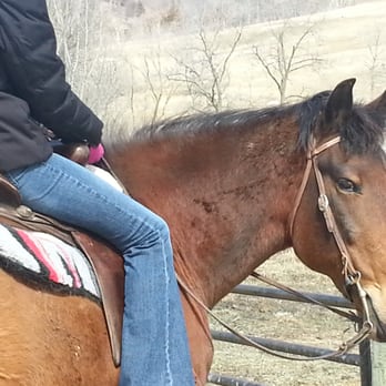 SHENANDOAH RIDING CENTER - Updated March 2024 - 45 Photos & 50 Reviews ...