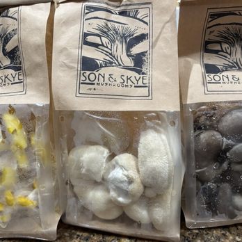 NATIVE SUN NATURAL FOODS KITCHEN + MARKET - Updated December 2025 - 175 ...