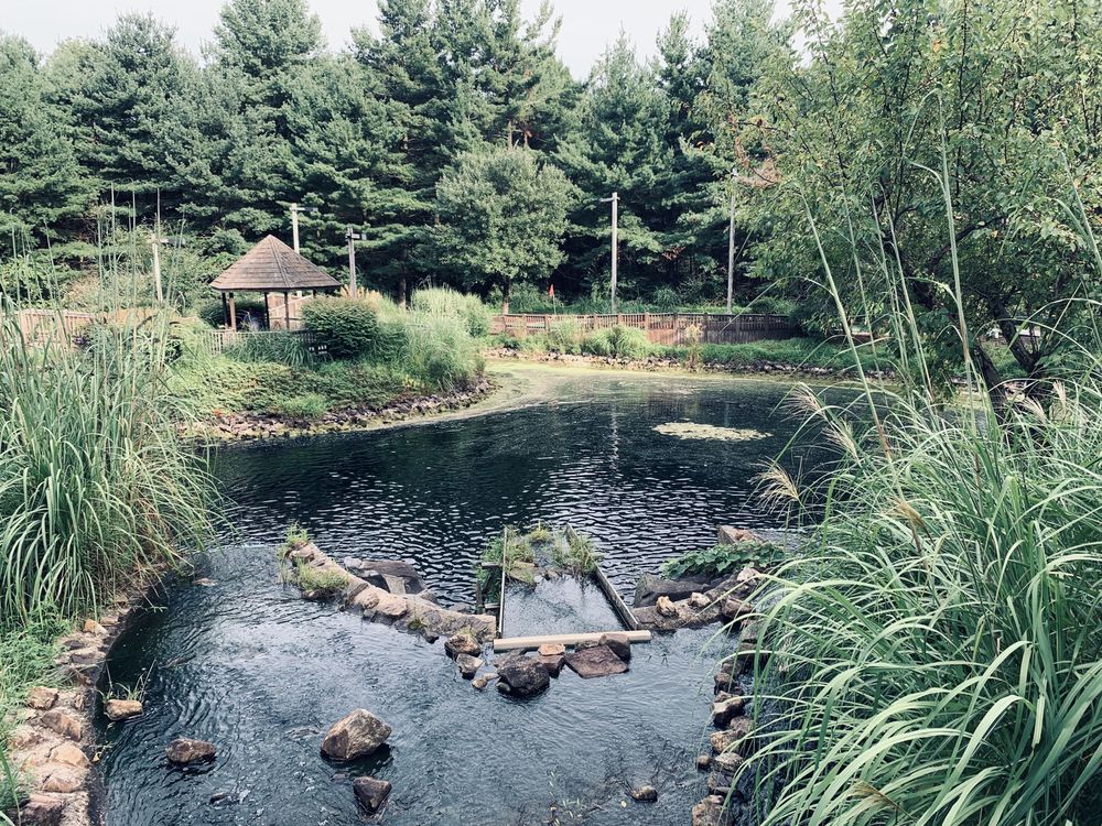 PINE CREEK MINIATURE GOLF - 52 Photos & 56 Reviews - 394 Rt 31 N ...