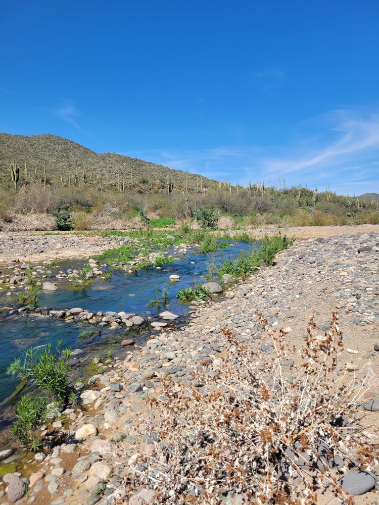 HIGH DESERT TRAILHEAD - Updated December 2025 - 37 Photos - 19001 Jacie ...