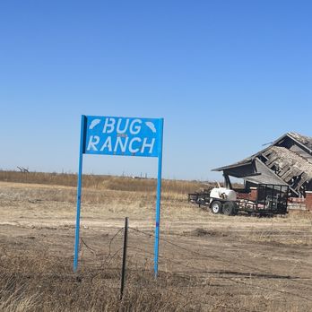 VW SLUG BUG RANCH - Updated September 2025 - 30 Photos & 12 Reviews ...