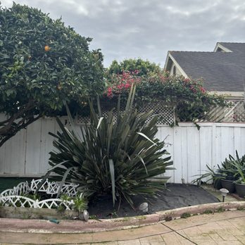 TORRES LANDSCAPE & GARDENING - Updated January 2026 - 161 Photos & 32 ...