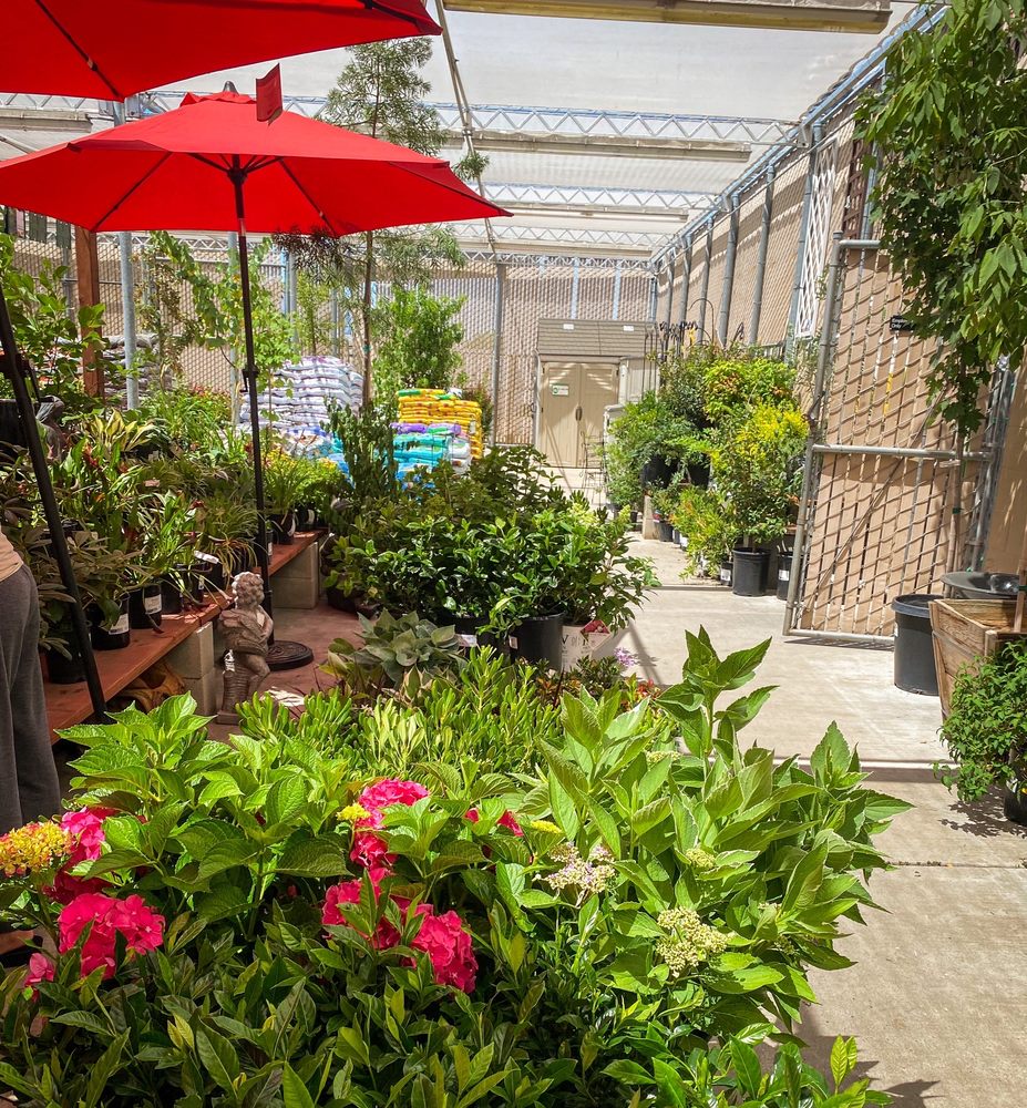 STRAND ACE HARDWARE - 23 Reviews - 189 W Louise Ave, Manteca ...