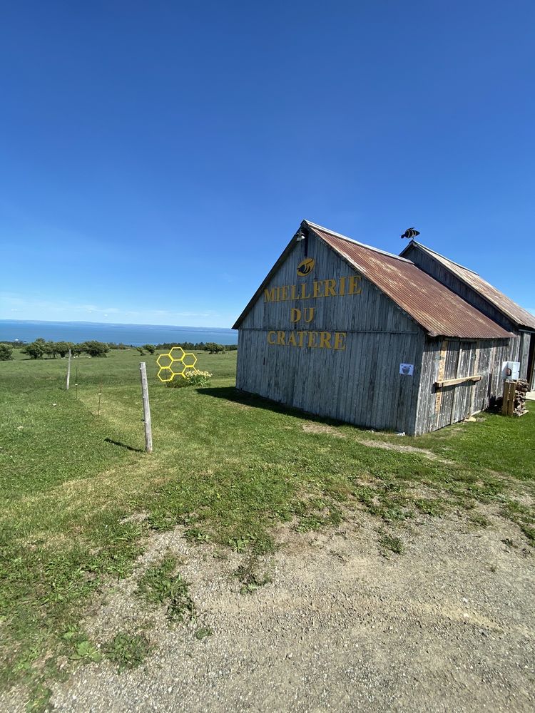 MIELLERIE DU CRATÈRE DE CHARLEVOIX - Updated August 2024 - 3390 Route ...