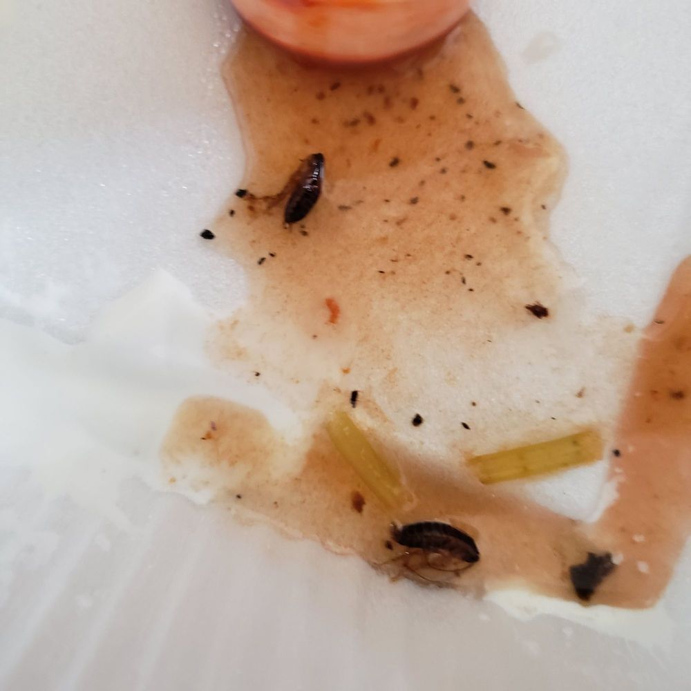 MARISCOS GERMAN BEYER - Updated May 2025 - 188 Photos & 214 Reviews ...