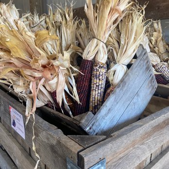 LARRILAND FARM - Updated October 2024 - 408 Photos & 202 Reviews - 2415 ...