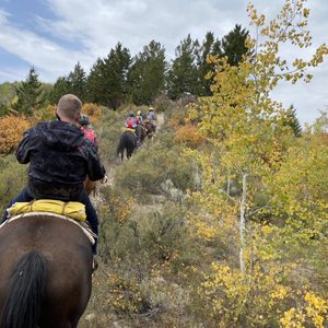 VAIL STABLES - Updated September 2024 - 198 Photos & 138 Reviews - 915A ...