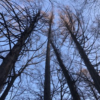 WARREN WOODS STATE PARK - Updated December 2025 - 40 Photos - Elm ...