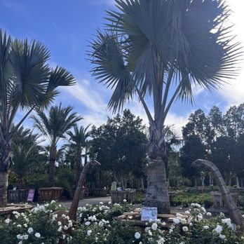 MOON VALLEY NURSERIES - Updated October 2025 - 615 Photos & 323 Reviews - 2653 East McKellips Rd ...