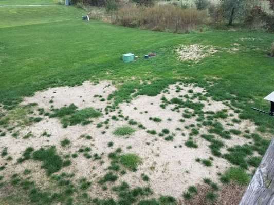 PRO TURF AND PRO PEST SOLUTIONS - Updated December 2025 - 14 Photos ...